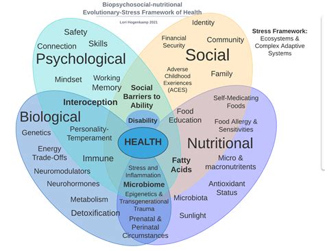 Beyond Causation Reframing Autism Through The Biopsychosocial Nutritional Model And The