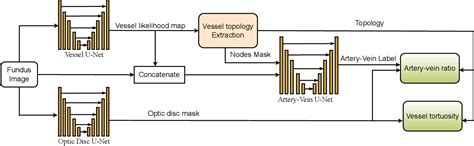 Fully Automated Artery Vein Ratio And Vascular Tortuosity Measurement In Retinal Fundus Images