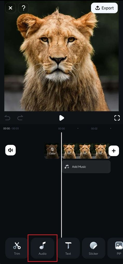 How To Record A Voiceover For Android And IPhone