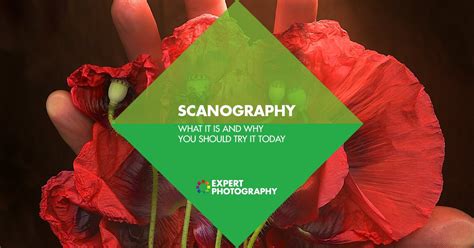 Book Ip Addressing And Subnetting Including Ipv6