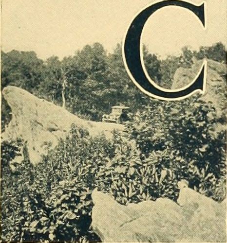 How Do We Determine The Morally Right Thing To Do In Any Given