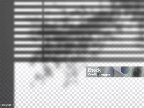 벽에 블라인드와 나무 잎에서 사실적인 투명 드롭 그림자 사진 디자인 프리젠 테이션에 대한 줄무늬 오버레이 효과 벡터 일러스트레이션 그림자에 대한 스톡 벡터 아트 및 기타