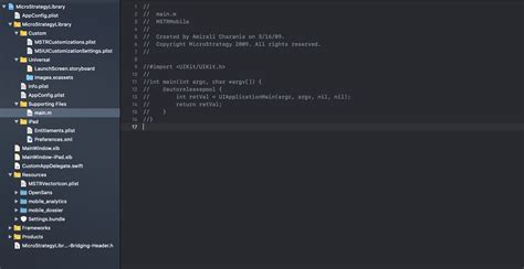 Add Functionality With A Custom Application Delegate In Ios