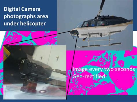 ppt the national marine mammal laboratory polar ecosystems program ice seal abundance and