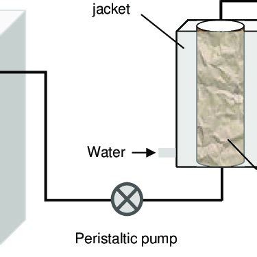 Schematic Representation Of The Flow Through Column Download Scientific Diagram