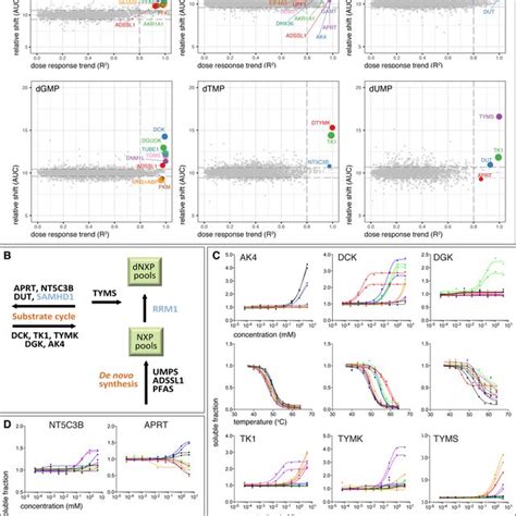 Optimized Cetsa Workflow For Profiling Protein Nucleotide Interactions