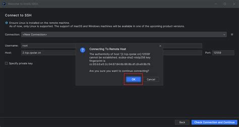 IntelliJ IDEA无公网远程Linux服务器环境开发 建议收藏 Book鱼 博客园