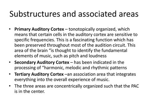 Visual And Auditory Cortex Pptx