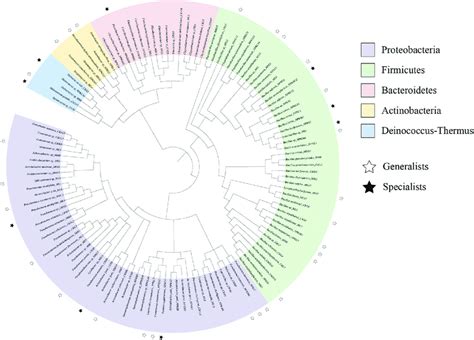 Phylogenetic tree of 122 bacteria isolated from the soil environment ...