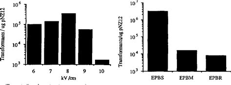 Figure 1 From Transformation Of Dairy Leuconostoc Using Plasmid Vectors From Baci Lis