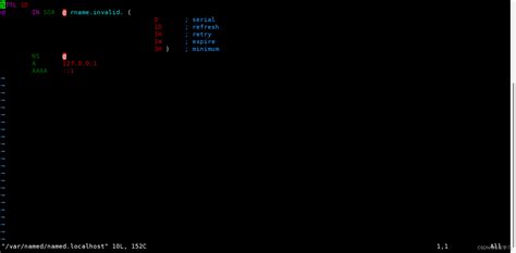 linux（dns解析服务与配置） linux dns配置文件 csdn博客