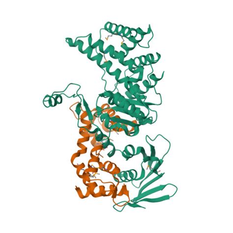 Rcsb Pdb 8ka1 Crystal Structure Of Vibrio Vulnificus Rid Dependent Transforming Nadase Domain