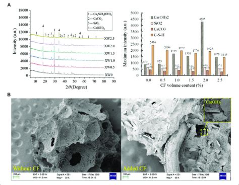 microstructure a xrd spectrum b sem result download scientific