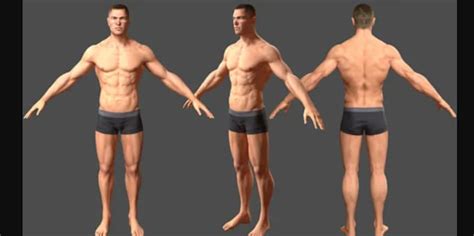 Deliver 3d Character Realistic Art Model With Nsf Modeling Cartoon Rig3d Uv Mapp By Femzydan