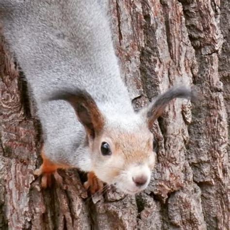 Анна Галич Annaakajack • Threads Say More Анна Галич Annaakajack • Threads Say More