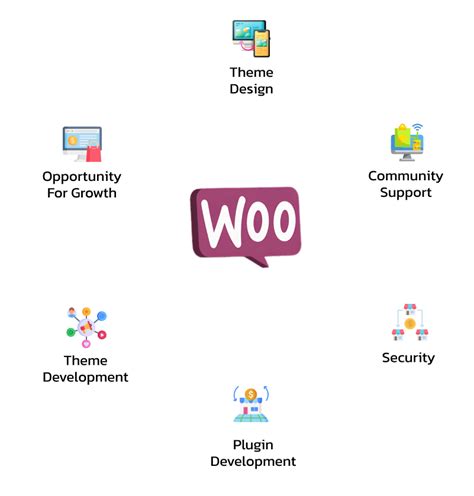 Woocommerce Development Services Boffin Coders