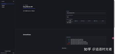 在 Net 9 中使用 Scalar 替代 Swagger 知乎