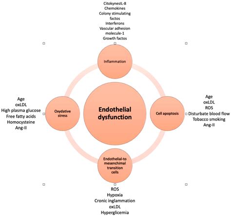 Endothelial Dysfunction In Heart Failure What Is Its Role