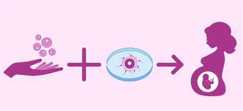 How To Become A Donor In Australia