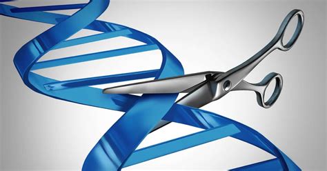 The Rise And Ethics Of CRISPR Future Of Life Institute