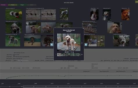 Timeline JS Alternatives And Similar Sites Apps AlternativeTo