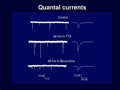 Ppt Synaptic Scaling In The Developing Visual Cortex Powerpoint Presentation Id 504110