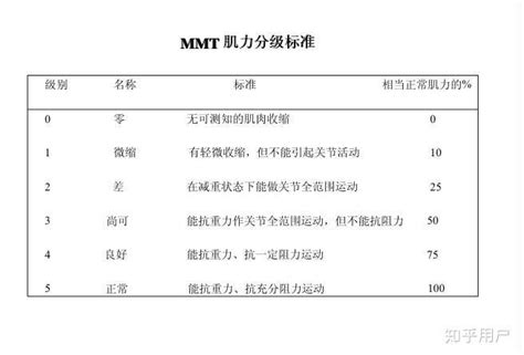 髋关节肌群徒手肌力如何评定？ 知乎