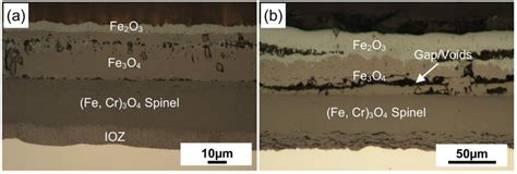 Metallographic Cross Sections Of Fe 20cr Scale After Reactions In Wet