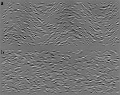 Orientation Grating Stimulus A Test Stimulus With A Texture