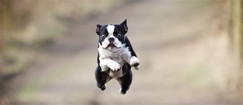 Ajax 原理和实现方式 知乎