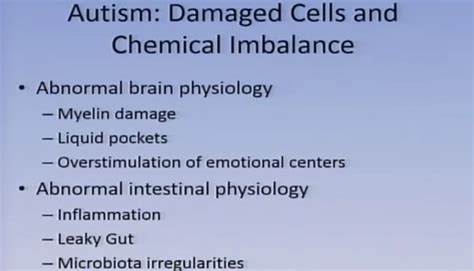 Dr Gary Samuelson Phd 2016 Autism One Conference