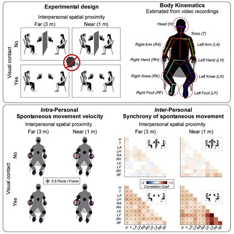 Interpersonal Synchronization Of Spontaneously Generated Body Samim