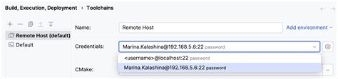 Remote With Local Sources CLion Documentation