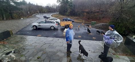 ასე იყო ეს 3 სრულად აქტიური დღე და 3 აქტიური ღამე დღეში 3 საათიანი ძილით 👌 3 ლოკაციაზე