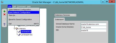 Create A Listener In Oracle Database 19c Oracle Database Database