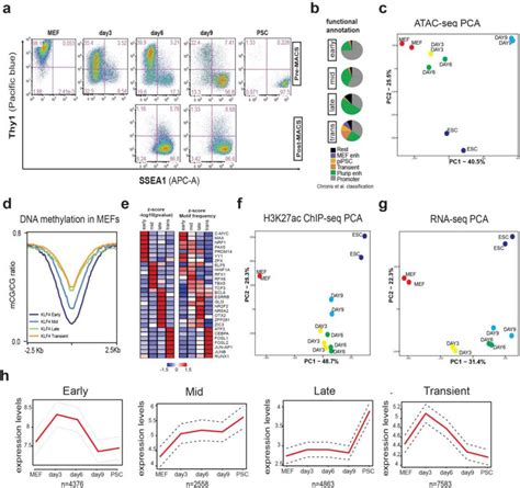 Isolation And Molecular Characterization Of Reprogramming Intermediates