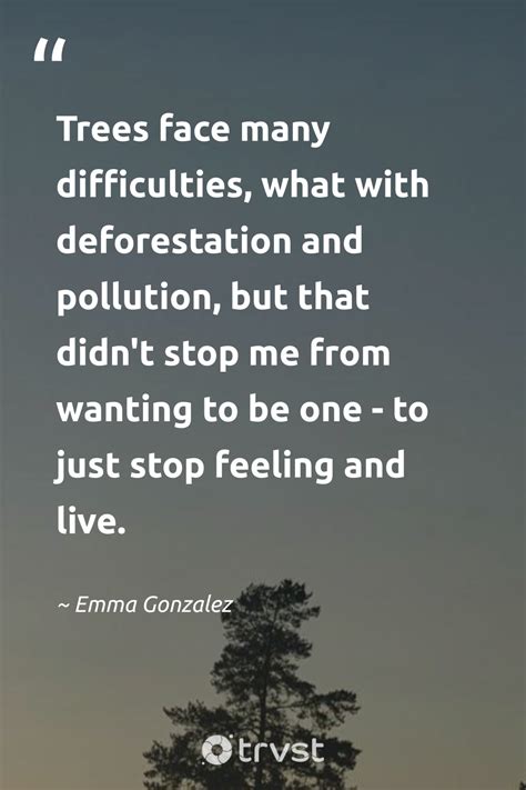 82 Tree Quotes To Encourage Growth And Preservation