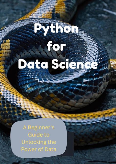 python for data science beginner s guide ebook etsy