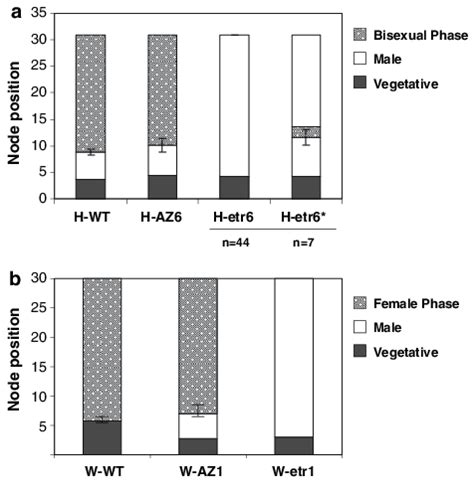 Sex Expression Patterns Along The Main Stem Of Transgenic 35S Etr1 1 Download Scientific