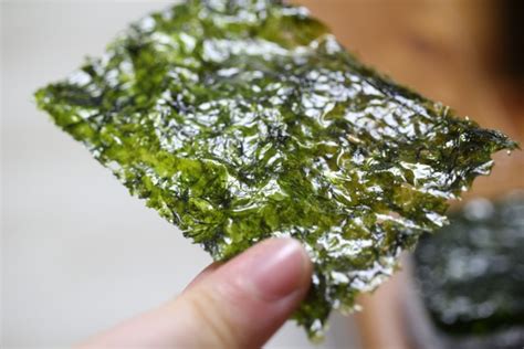 김의 영양소 및 효능 보관방법 좋은 김 고르는 방법