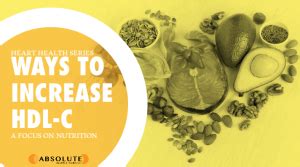 Ways To Increase HDL C Absolute Health Wellness