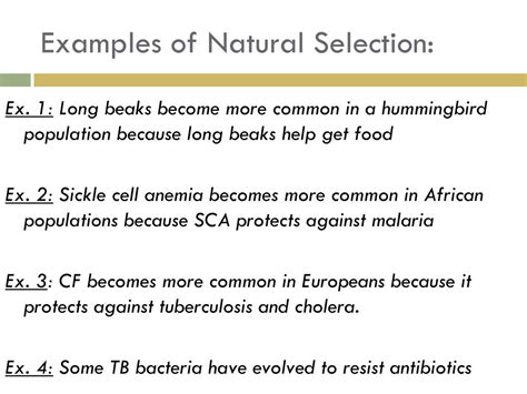 Ppt Introduction To Evolution Powerpoint Presentation Free Download