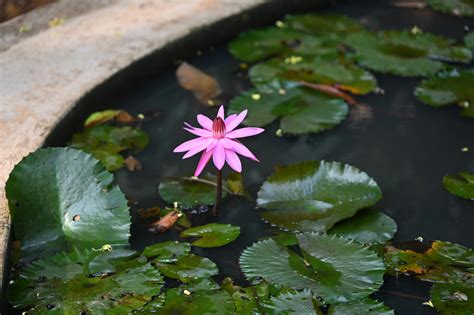 Aiتحويلصورةبنتعريانه Photos Download The Best Free Aiتحويلصورة