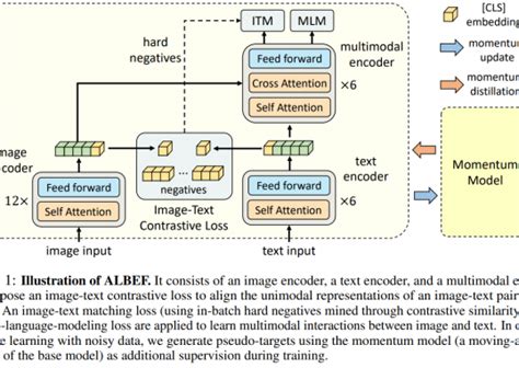 扩散模型（ddpm） 图神经网络公社