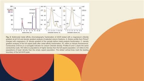 Removal Of Empty Capsids From Adeno Associated Virus Preparations By