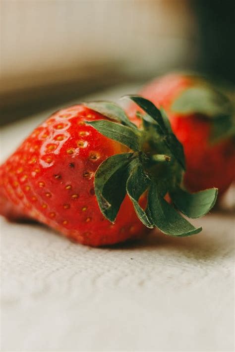 Menjar Echt 건강식품 건강한 생활 건강한 식생활 계절 과일 과일 사진 과일 애호가 과일매직 과일완벽함