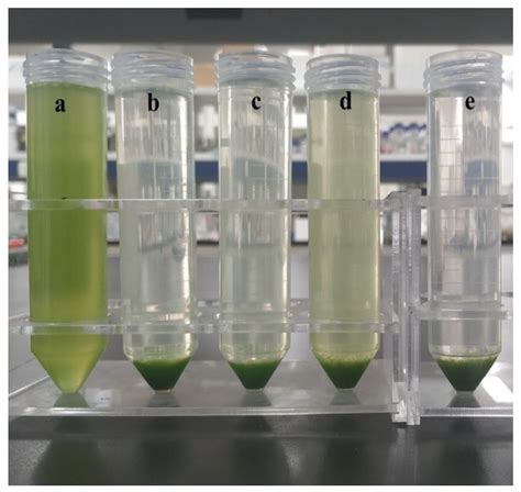 Fe2so43 Ra Fecl3 Phương Trình Hóa Học Và Ứng Dụng Thực Tiễn