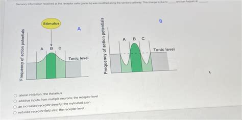 Solved Sensory Information Received At The Receptor Cells