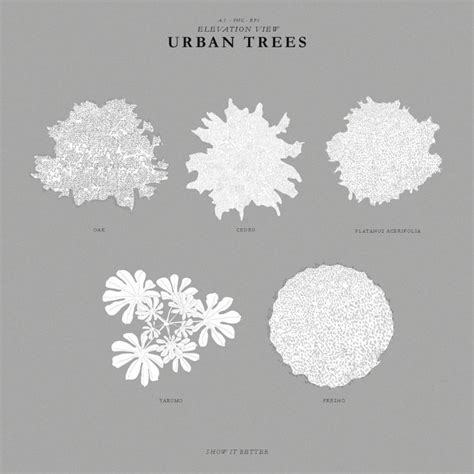 Cad Trees In Plan And Elevation Trees Artofit