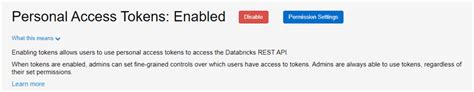 azure databricks access controls and row level security